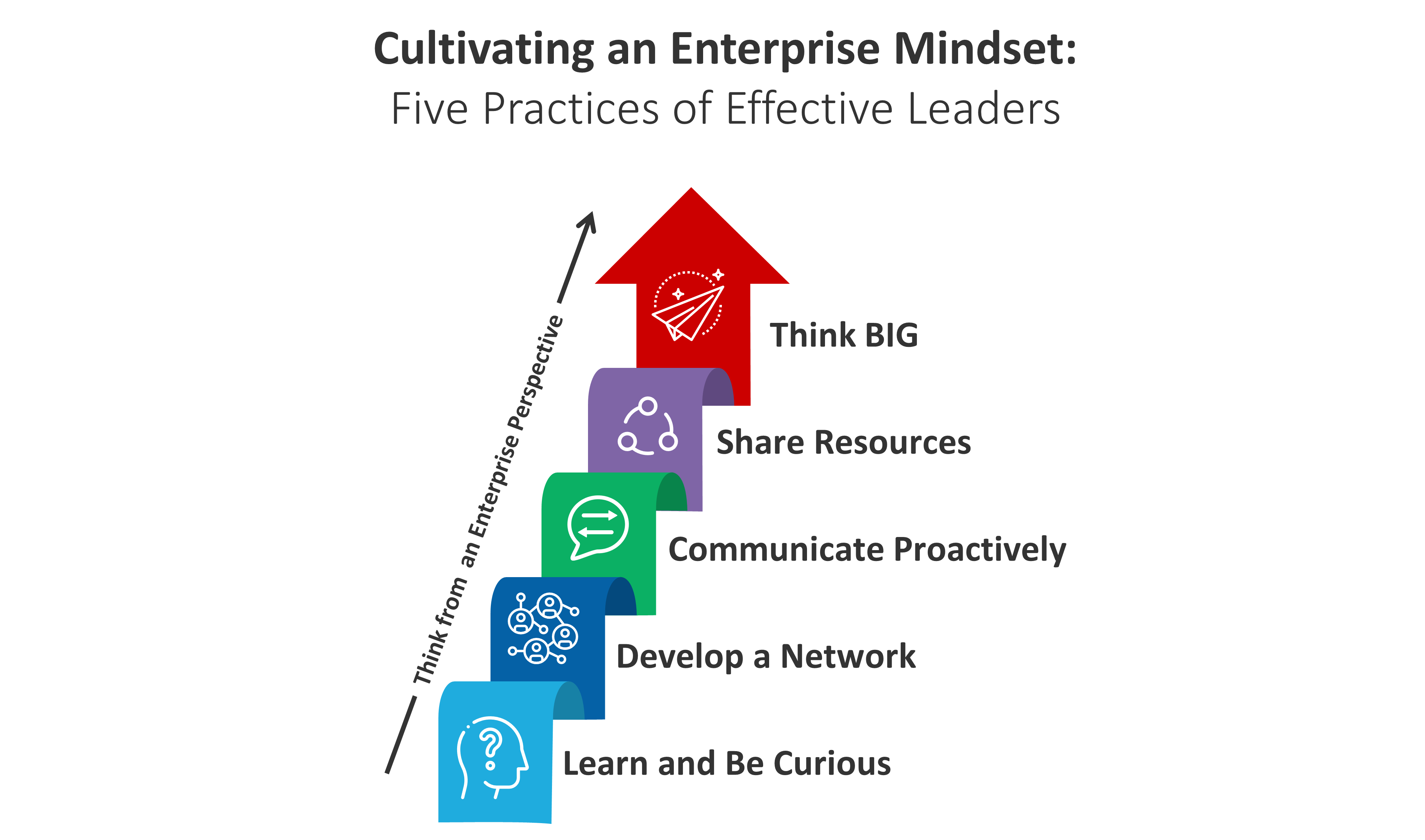 Leading From an Enterprise Perspective: A Case Study