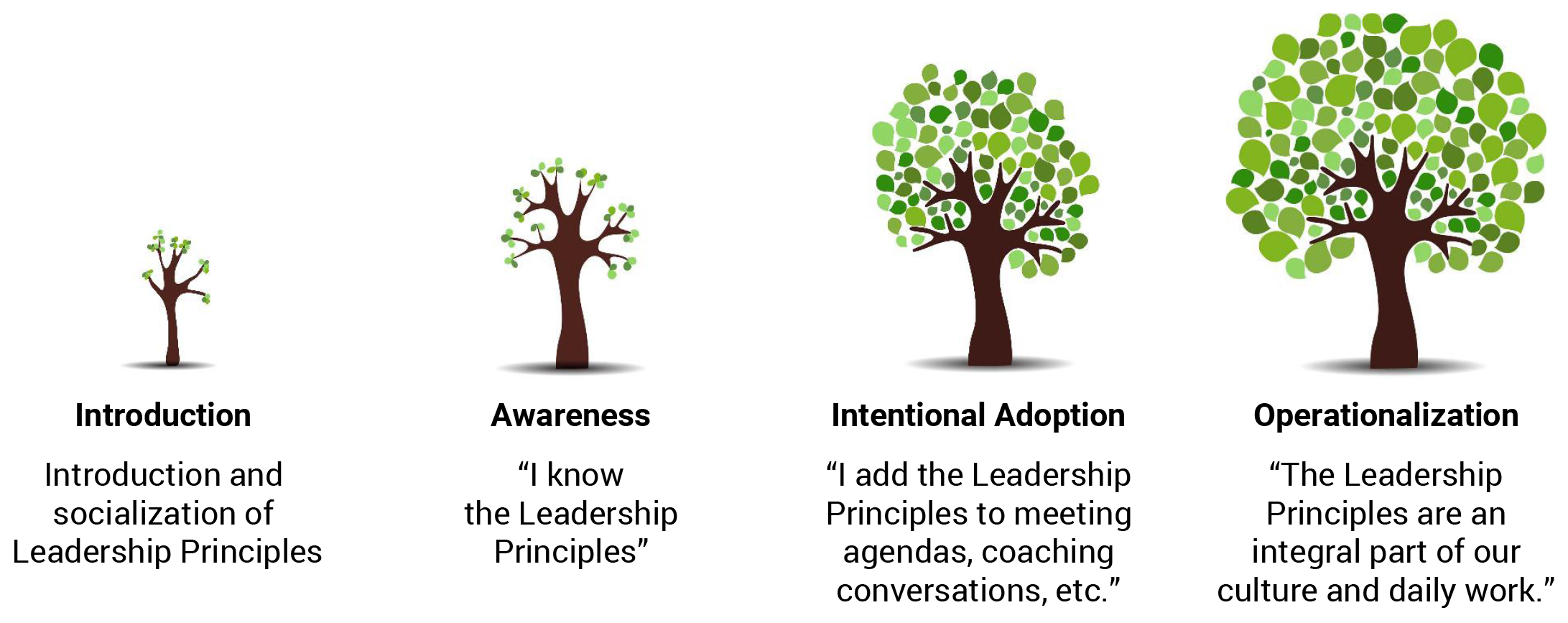 Bringing Leadership Principles to Life: A Case Study