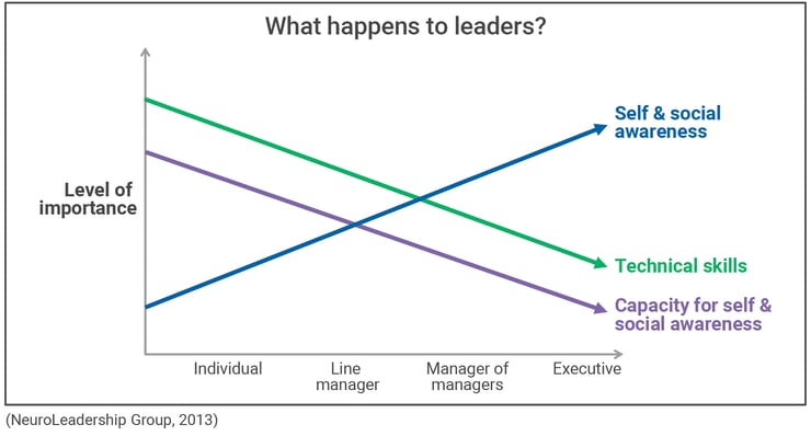 Neuroscience & Leadership: Interpersonal Trumps Analytics